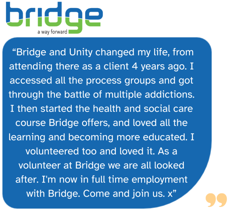 Volunteering - The Bridge Project